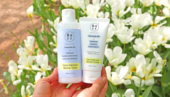 Barr Cosmetics – Barr US Official Store